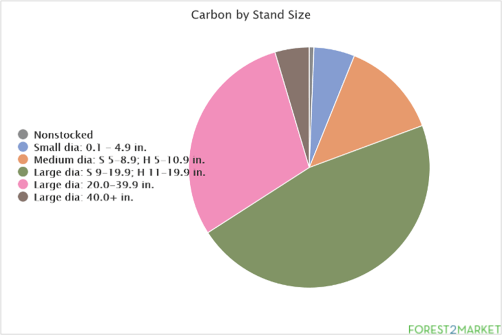 Which Region of the US Stores the Most Carbon in its Forests?