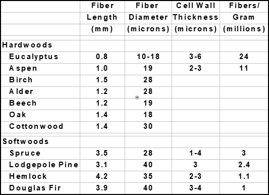 A Deep(ish)-Dive Into the World of Pulp and Paper Fiber