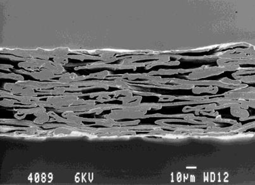 A Deep(ish)-Dive Into the World of Pulp and Paper Fiber